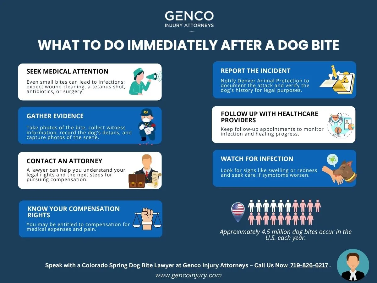 Dog Bites Injury Lawyer Colorado Springs, CO